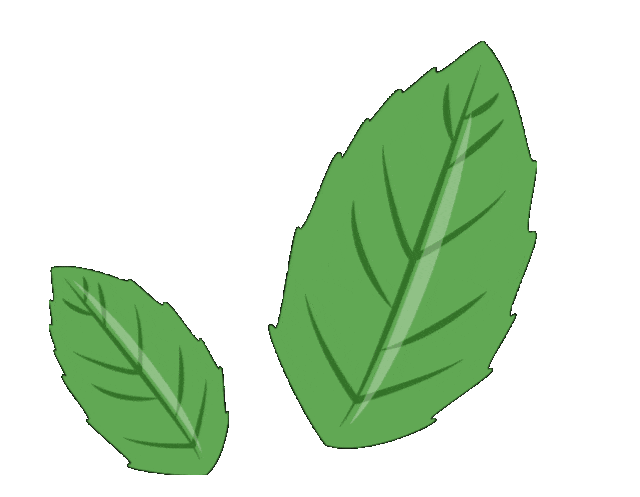 中煤新集六安电厂：加快推进2x660MW机组工程建设-国际能源网能源资讯中心